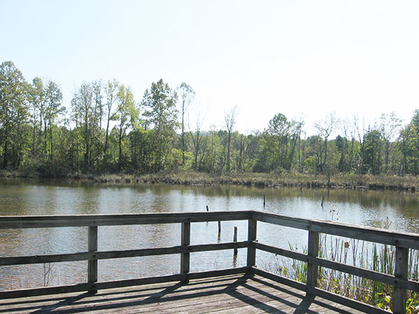 Wilson Wetlands – Ohio River Parks Project